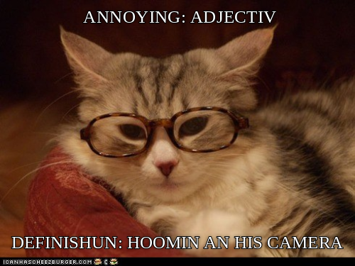 From The Kitty English Dictionary - Lolcats - lol | cat memes | funny ...