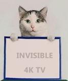INVISIBLE 4K TV - Lolcats - lol | cat memes | funny cats | funny cat ...