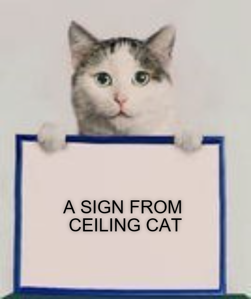 A SIGN FROM CEILING CAT - Lolcats - lol | cat memes | funny cats ...
