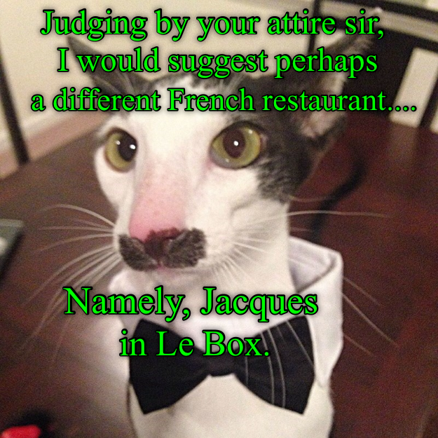 Never go to a French restaurant wearing jeans and a t-shirt. - Lolcats ...