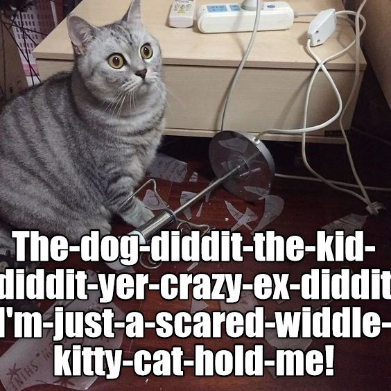 It's the perfect defense... - Lolcats - lol | cat memes | funny cats ...