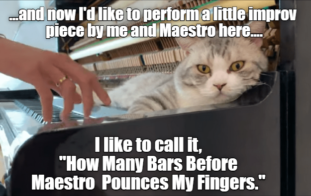 Can't say what Maestro calls it... - Lolcats - lol | cat memes | funny ...