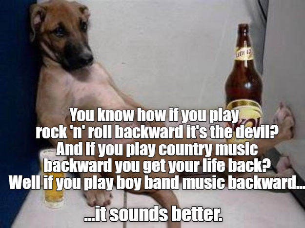 Ruminating Dog ruminates - I Has A Hotdog - Dog Pictures - Funny ...