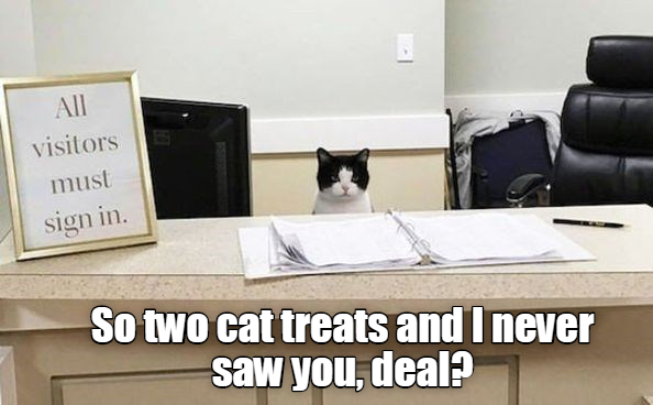 Just can't get good help these days - Lolcats - lol | cat memes | funny ...