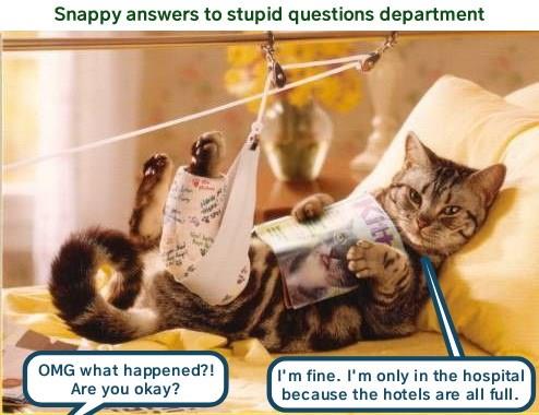 Snappy answers to stupid questions department - Lolcats - lol | cat ...