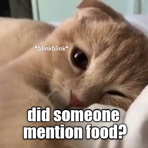 Did someone mention food? - Lolcats - lol | cat memes | funny cats ...