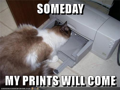 SOMEDAY MY PRINTS WILL COME - Lolcats - lol | cat memes | funny cats ...