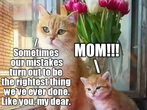 The little mistake doesn't wanna know... - Lolcats - lol | cat memes ...