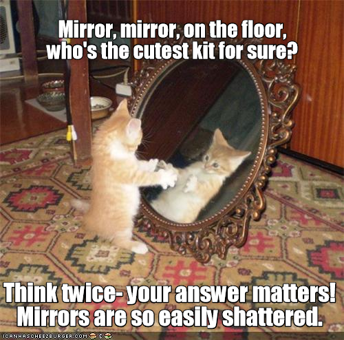 Think twice, mirror... - Lolcats - lol | cat memes | funny cats | funny ...
