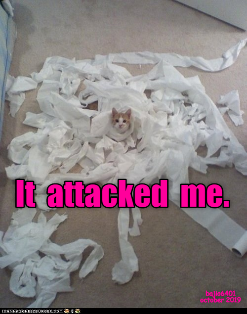 I DID NOT PROVOKE IT, HONEST - Lolcats - lol | cat memes | funny cats ...