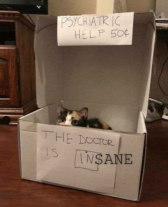 Well, duh, cat... - Lolcats - lol | cat memes | funny cats | funny cat ...