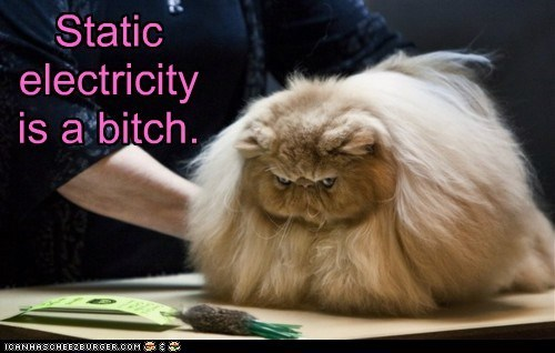 FOR GAWD'S SAKE GET A HUMIDIFIER - Lolcats - lol | cat memes | funny ...