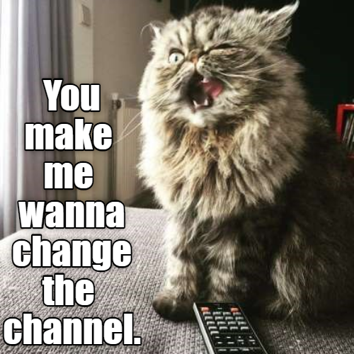Or at least mute... - Lolcats - lol | cat memes | funny cats | funny ...