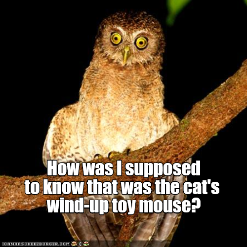 rrrrrrrrr-rrrrrr - Animal Comedy - Animal Comedy, funny animals, animal ...