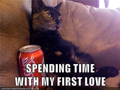 MY FIRST LOVE - Lolcats - lol | cat memes | funny cats | funny cat ...