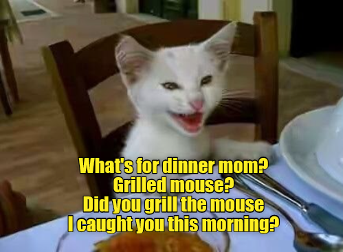 Grilled mouse? - Lolcats - lol | cat memes | funny cats | funny cat ...