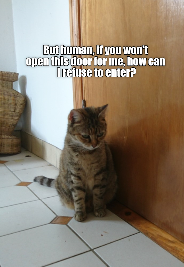 Open the door! - Lolcats - lol | cat memes | funny cats | funny cat ...