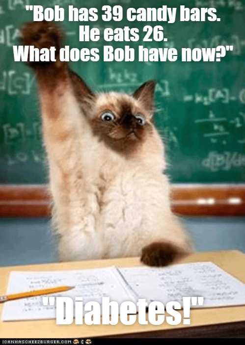 Good answer. Go wait in the hall. - Lolcats - lol | cat memes | funny ...