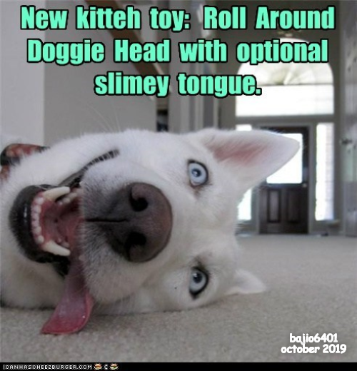 IT'S ALL THE RAGE - I Has A Hotdog - Dog Pictures - Funny pictures of ...