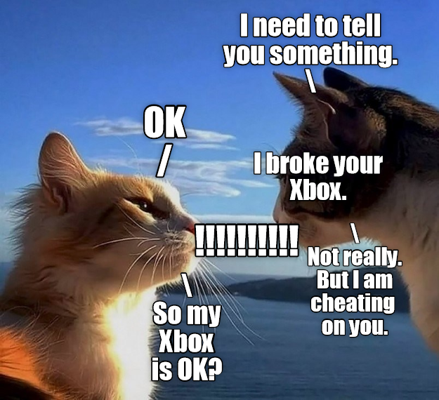 Not for long, I'm guessing... - Lolcats - lol | cat memes | funny cats ...