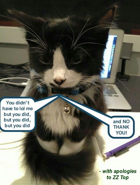 With apologies to ZZ Top - Lolcats - lol | cat memes | funny cats ...