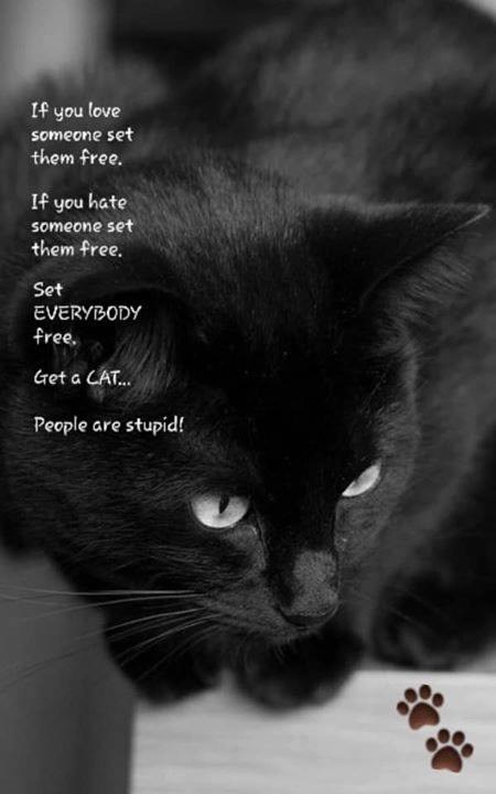 Set Them Free - I Can Has Cheezburger?