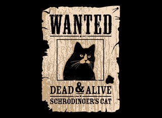 Wanted - Cat Meme Of The Decade - lol | cat memes | funny cats | funny ...