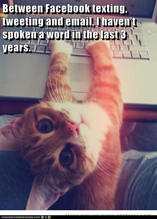 Silence of the LOL's - Lolcats - lol | cat memes | funny cats | funny ...