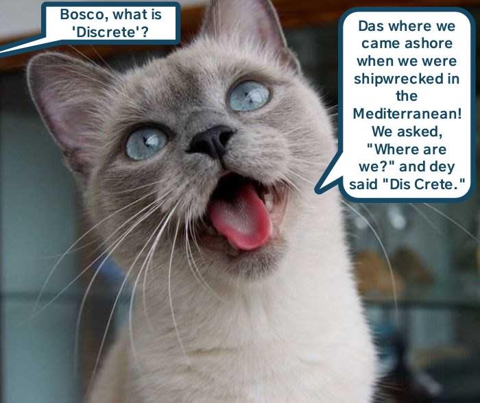 'Discrete,' daffynishun - Lolcats - lol | cat memes | funny cats ...