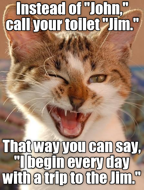 Life Hacks that aint Hairballs - Lolcats - lol | cat memes | funny cats ...