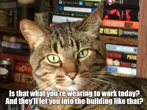 They'll let you into the building like that? - Lolcats - lol | cat ...