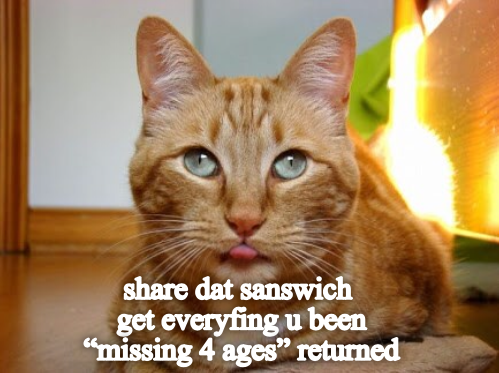 Cats: Inventors Of The “Win/Win” Solution - Lolcats - lol | cat memes ...