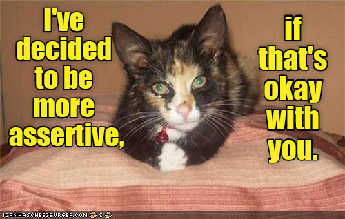 With your permission, of course. - Lolcats - lol | cat memes | funny ...