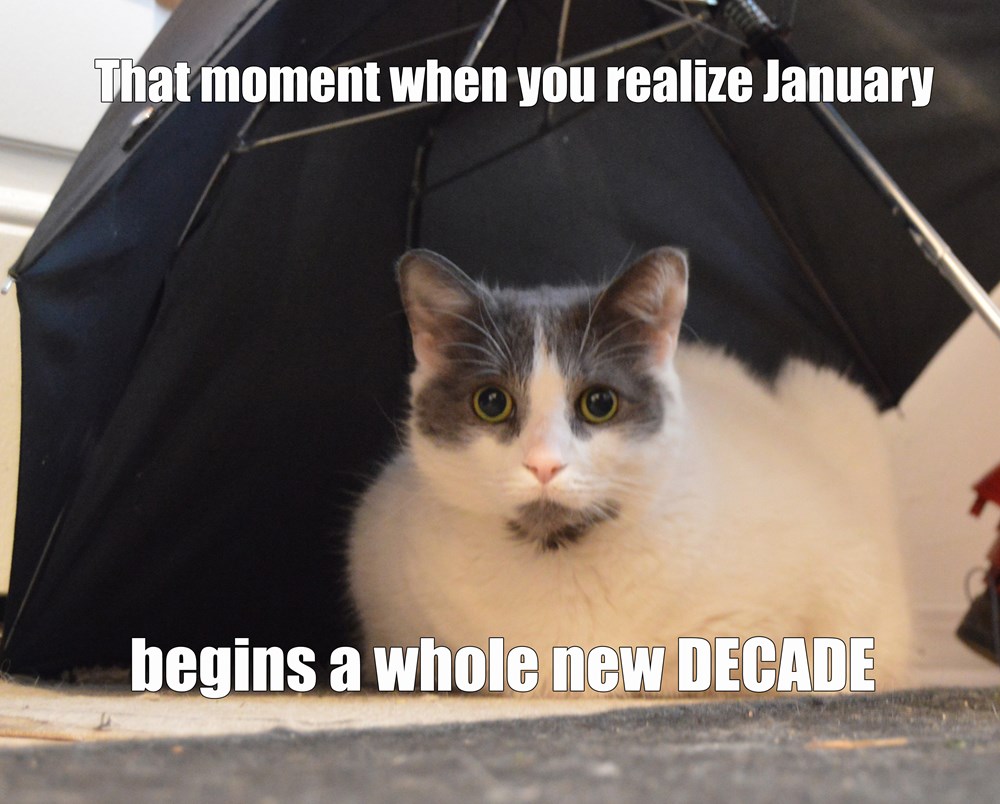New Year, New Decade - Lolcats - lol | cat memes | funny cats | funny ...