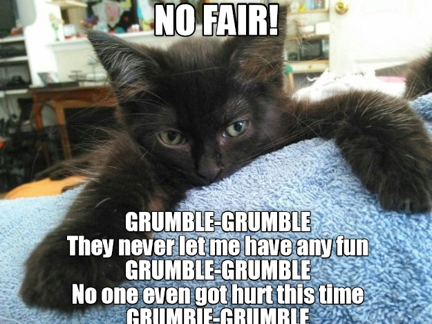 Time Out Kitten learns the wrong lesson... - Lolcats - lol | cat memes ...