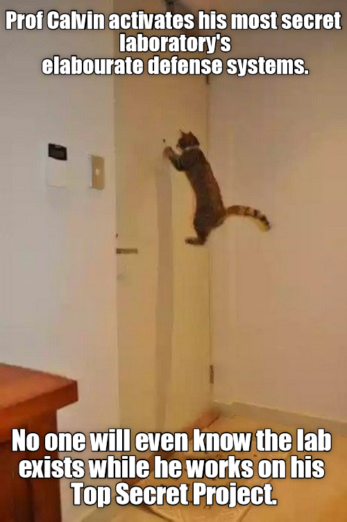 meanwhile, in Prof Calvin's sekretest lab. . . KKPS 2019 - Lolcats ...