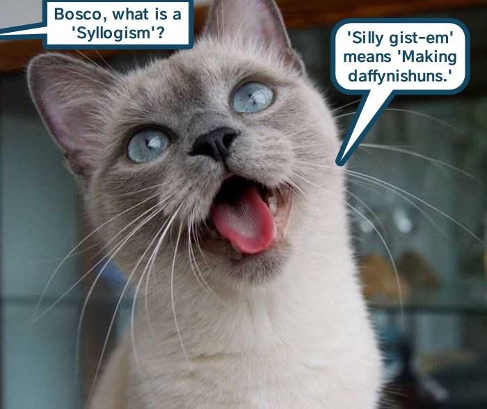 'Syllogism,' daffynishun - Lolcats - lol | cat memes | funny cats ...