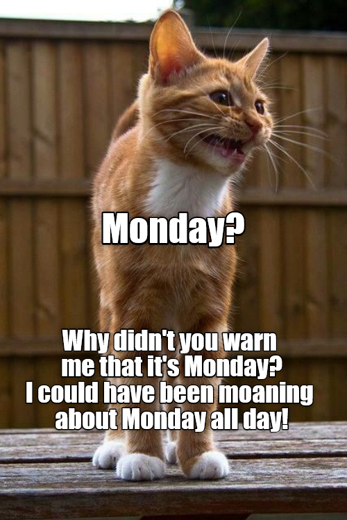 You made me miss the best bits! - Lolcats - lol | cat memes | funny ...