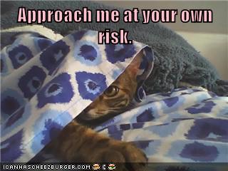 Approach me at your own risk. - Lolcats - lol | cat memes | funny cats ...