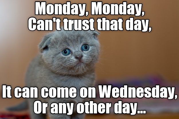 T.T.O. "Monday Monday" by The Mommas and the Pappas - Lolcats - lol ...