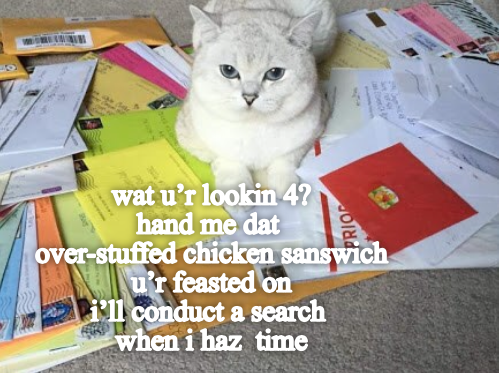 Mail Room Boss - Lolcats - lol | cat memes | funny cats | funny cat ...