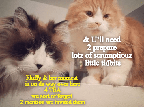 TEA PARTY 4 MOMMY (2 HOST) - Lolcats - lol | cat memes | funny cats ...