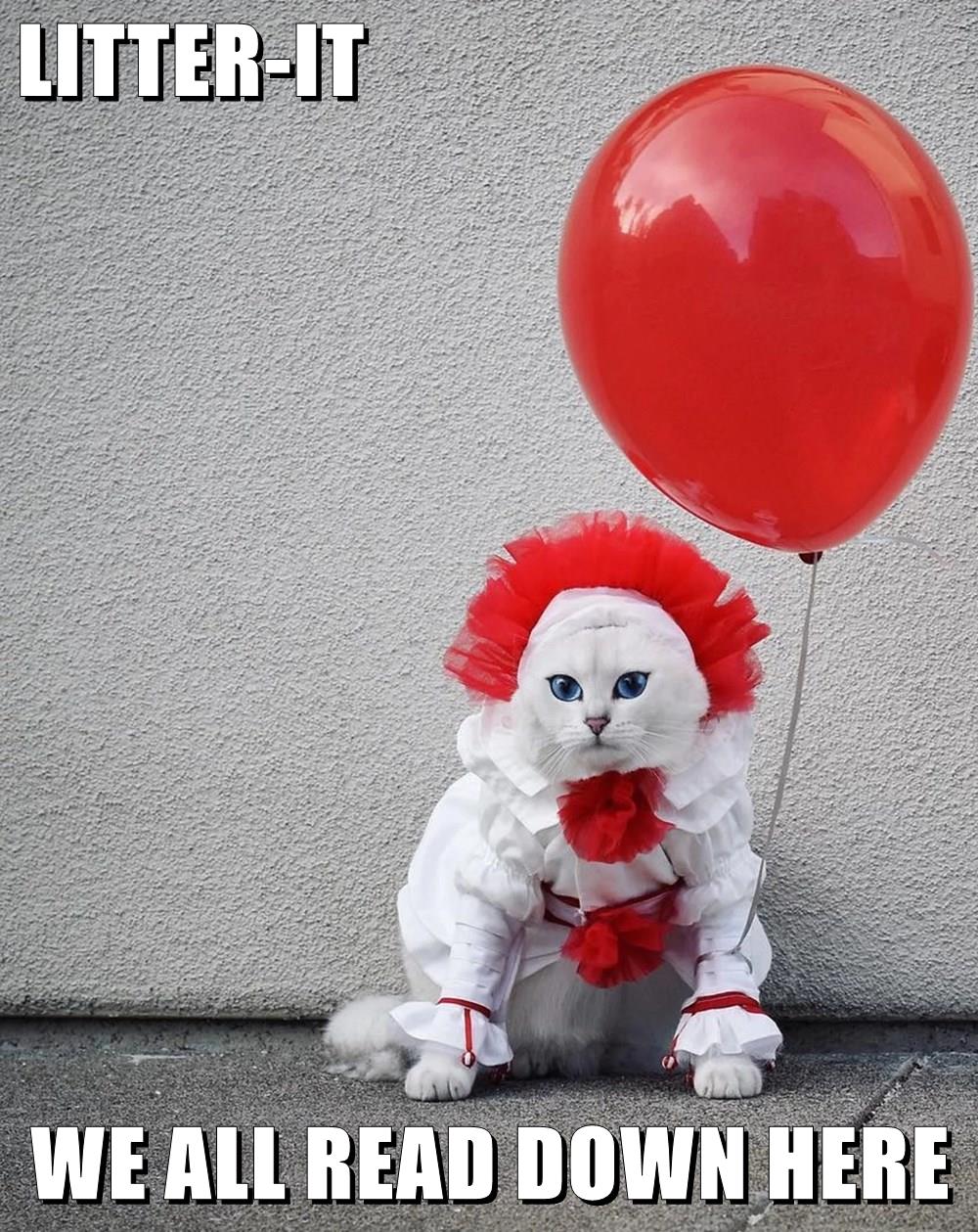 LITTER-IT - Lolcats - lol | cat memes | funny cats | funny cat pictures ...