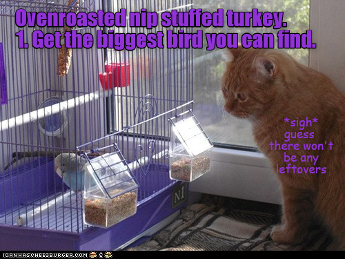 Tasty recipes every cat will enjoy - Lolcats - lol | cat memes | funny ...