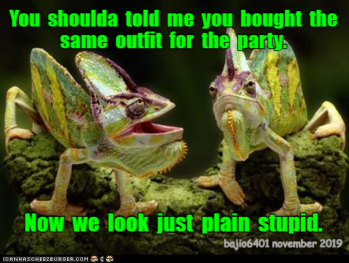 WE HAVE A FAILURE TO COMMUNICATE - Animal Comedy - Animal Comedy, funny ...