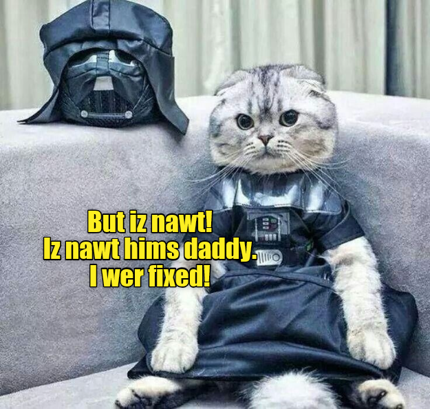 I wer fixed! - Lolcats - lol | cat memes | funny cats | funny cat ...