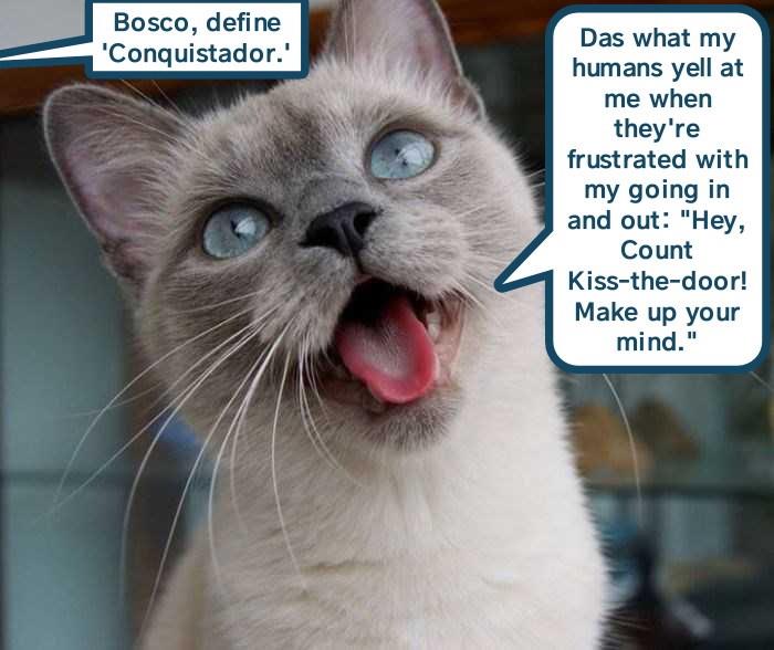 'Conquistador,' daffynishun - Lolcats - lol | cat memes | funny cats ...