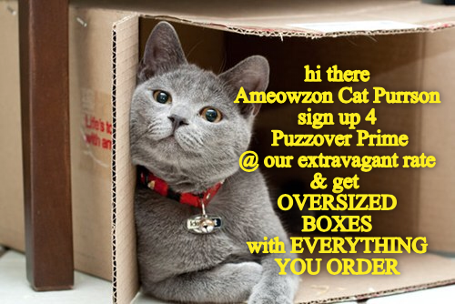 New @ Ameowzon BOXES 4 CAT-OWNED PEOPLE - Lolcats - lol | cat memes ...