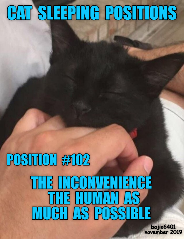 THE GUIDE TO CAT SLEEPING POSITIONS - Lolcats - lol | cat memes | funny ...