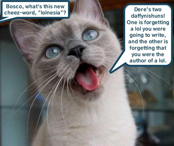 i can has inclusion in Oxford English Dictionary? - Lolcats - lol | cat ...